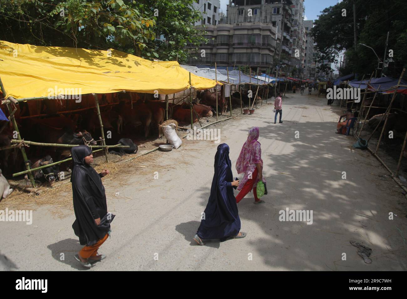 Dhaka Bangladesh 25jun2023,Despite the ban of the city corporation,the ...