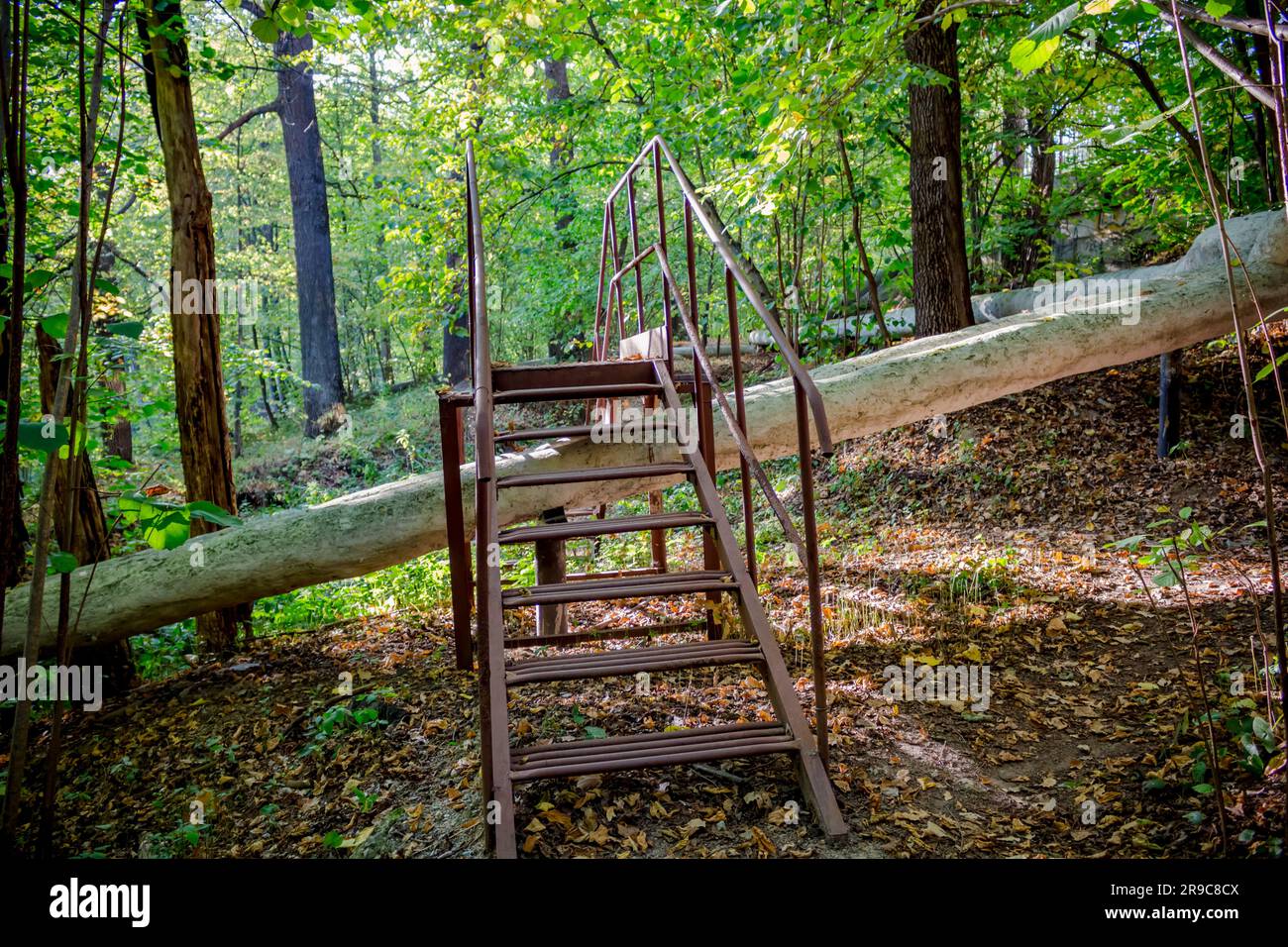Stairway through heating pipes in the forest Stock Photo - Alamy