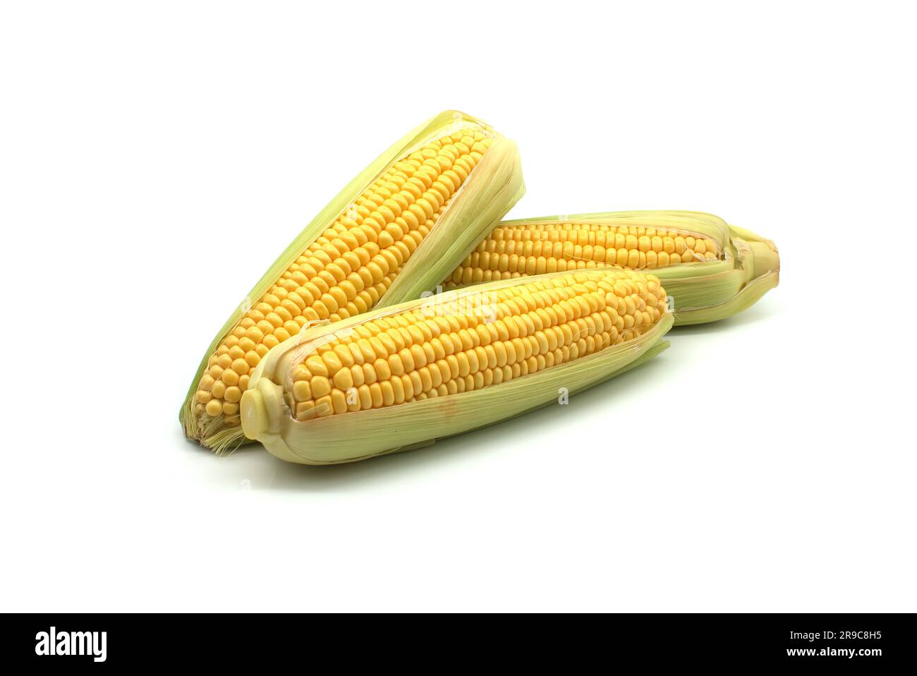 Fresh raw maize or corn on the cob with leaves isolated on white ...