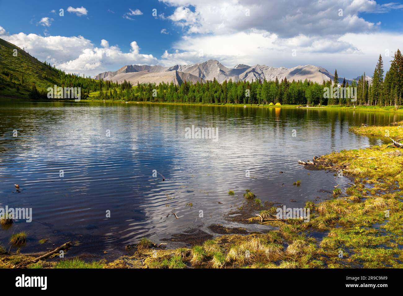 Treelined Shore Deep Blue Water, Distant Mountain Peaks. Beautiful Rae ...