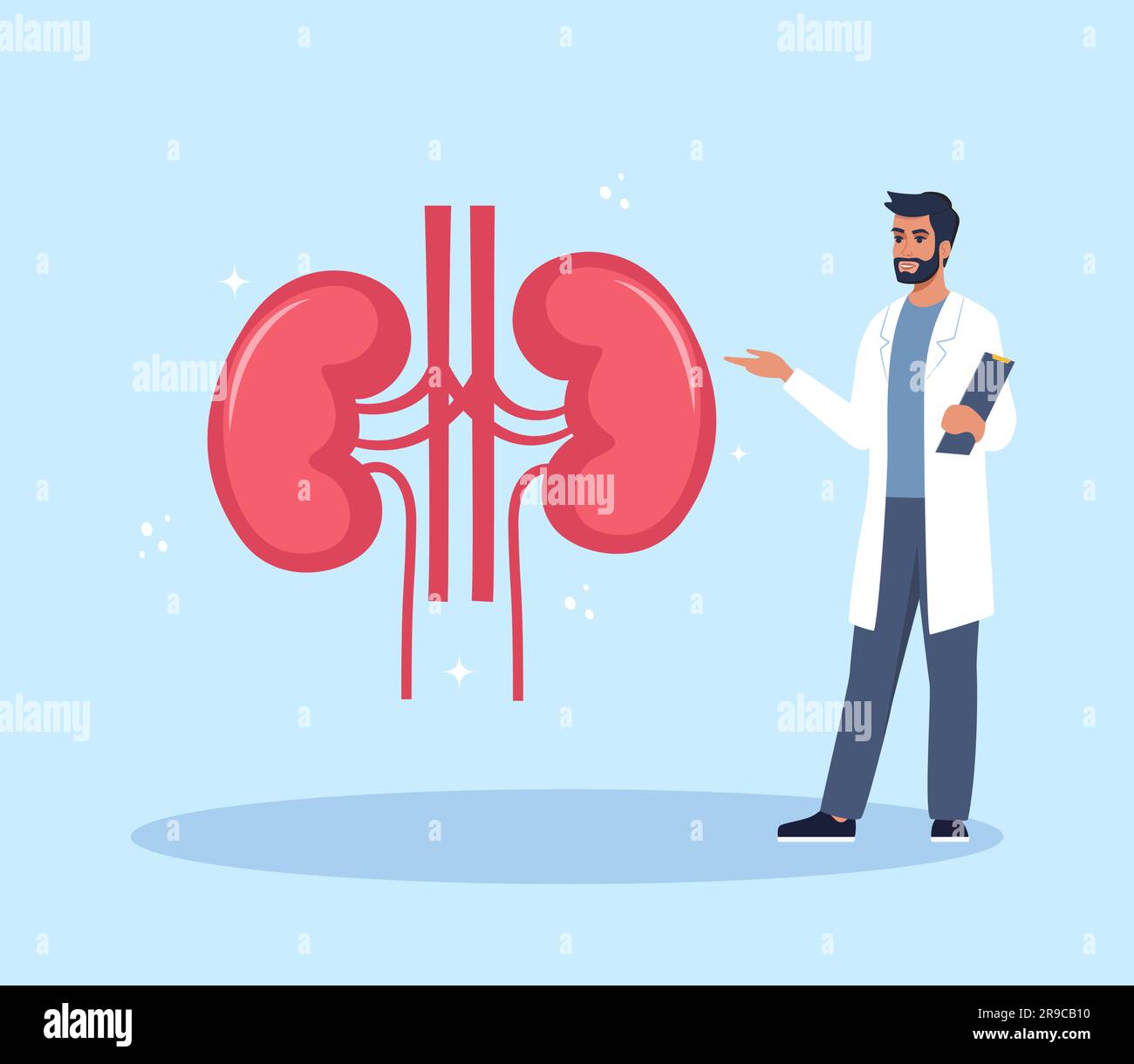 Doctor gives a training lecture about anatomy. Doctor presenting human ...