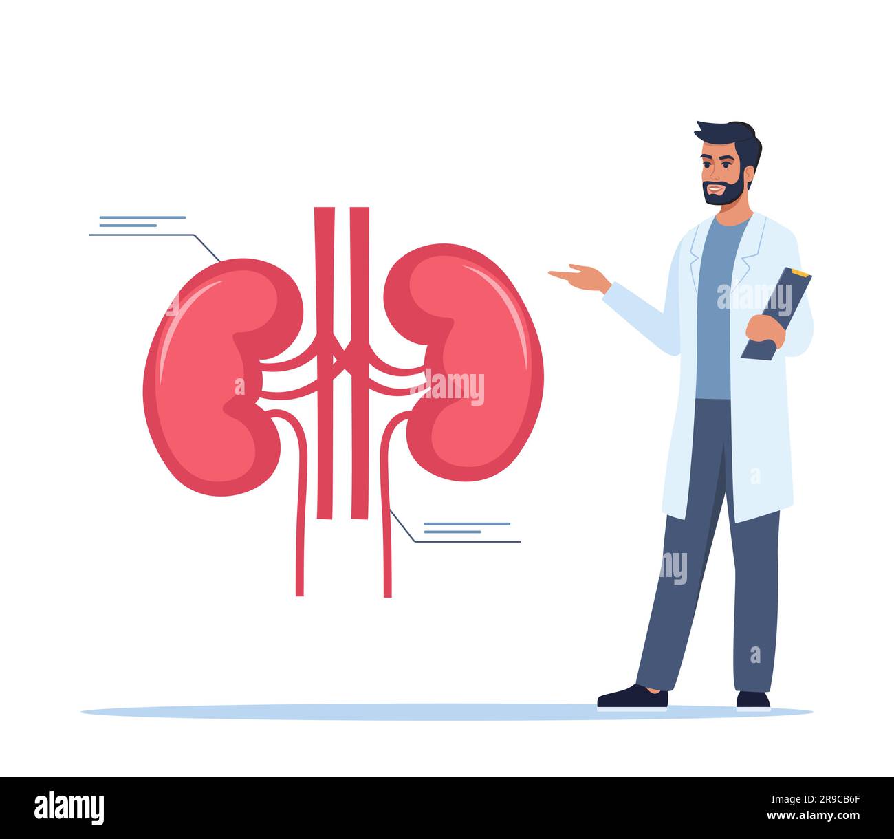 Doctor gives a training lecture about anatomy. Doctor presenting human ...