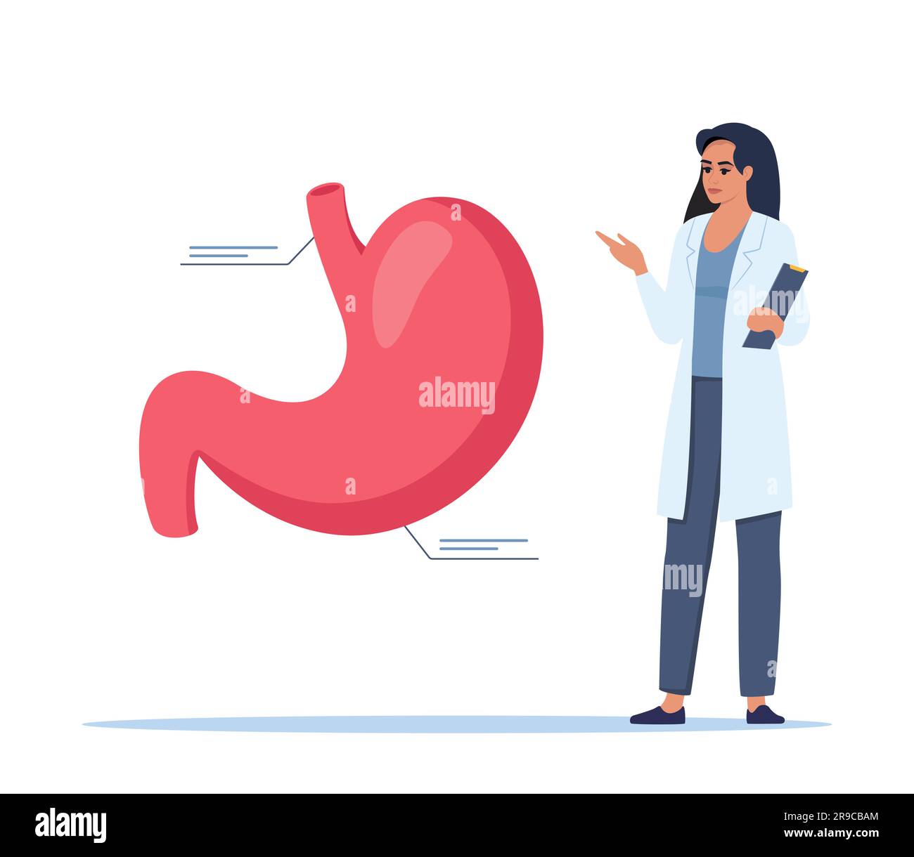 Doctor gives a training lecture about anatomy. Doctor presenting human ...