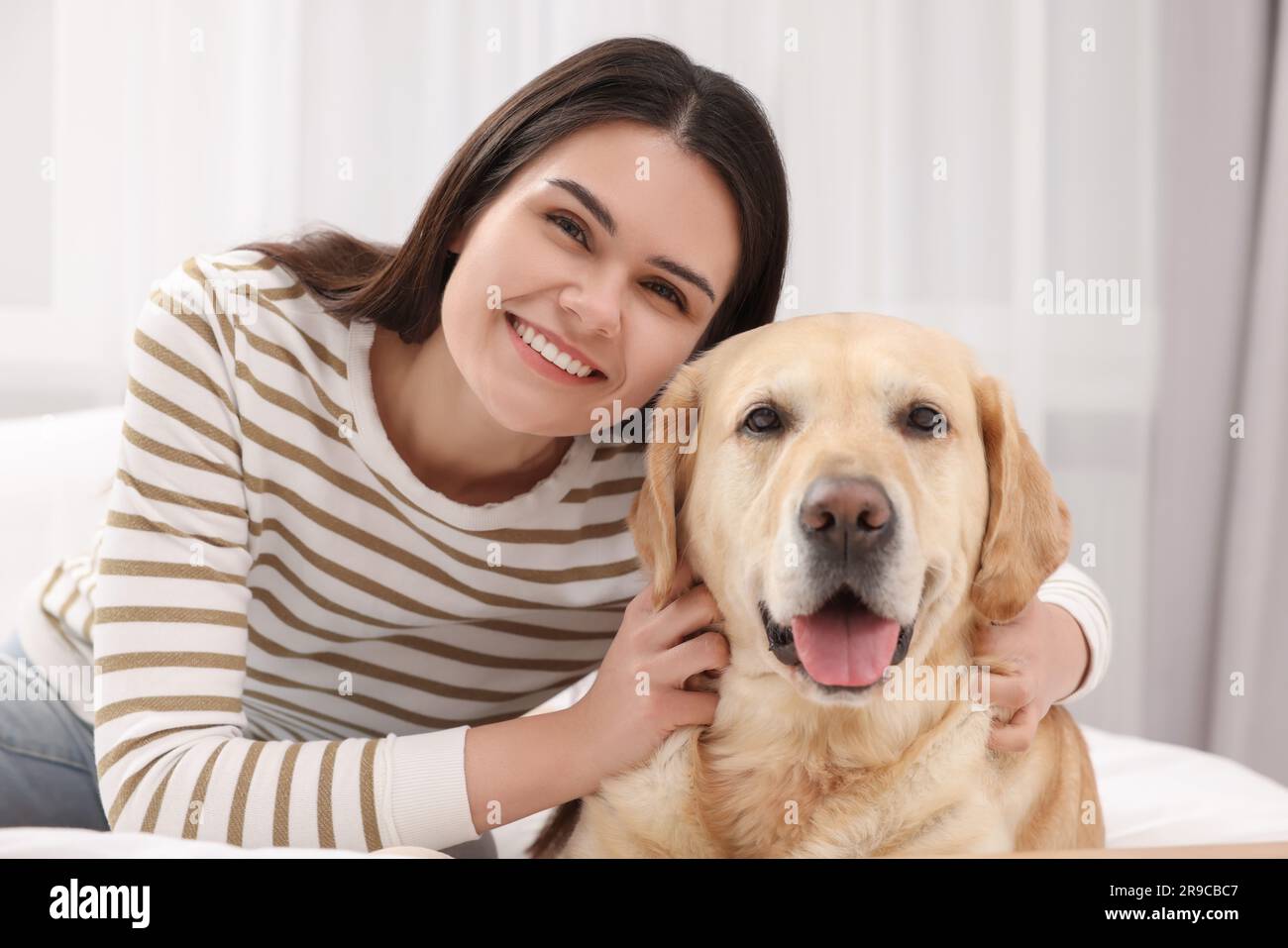 Labrador woman bed hi-res stock photography and images - Alamy