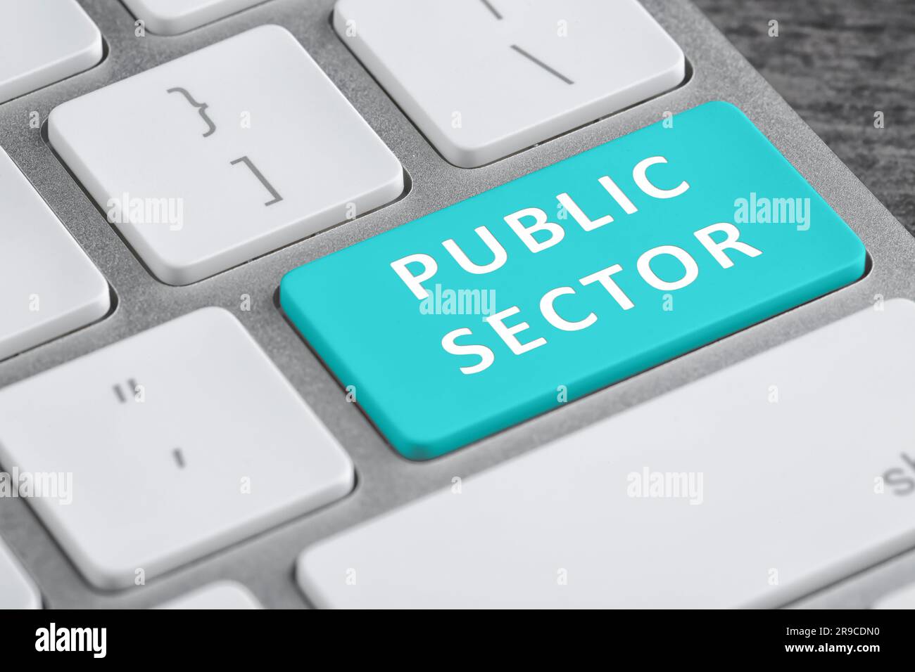 Light blue button with text Public Sector on computer keyboard, closeup ...