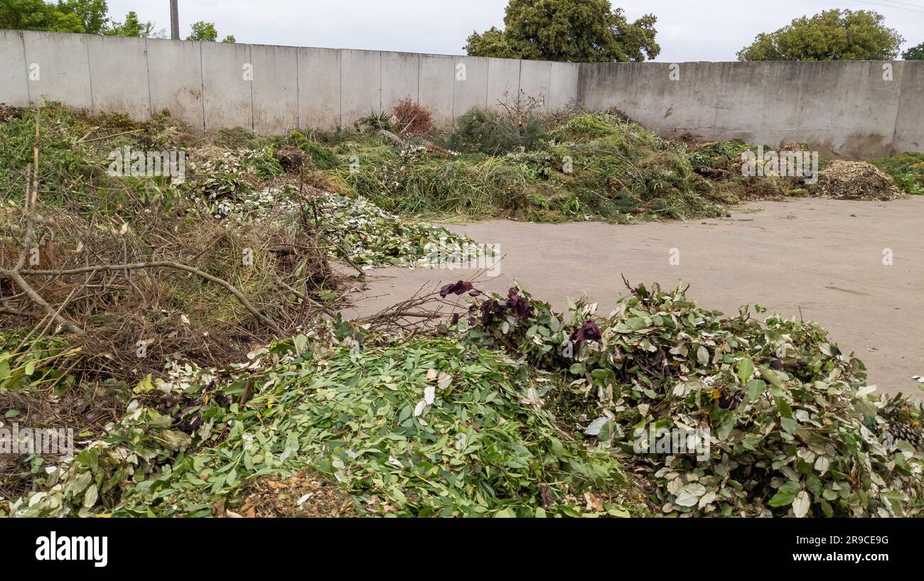 recycling center plant waste area like garden plant green waste ...