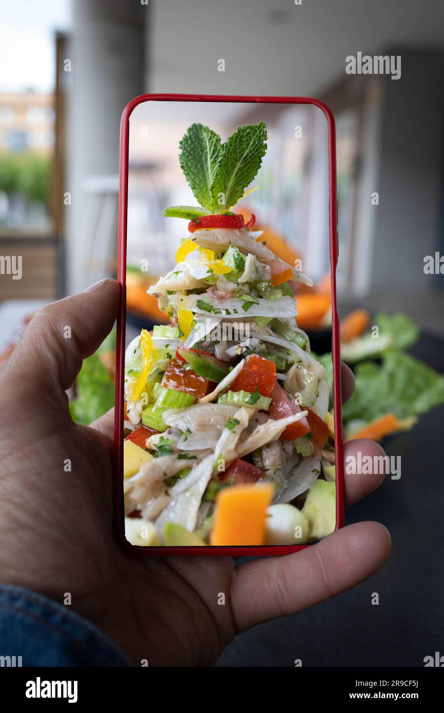 Close up of the hands of a man taking a photo of a dish of Peruvian ...