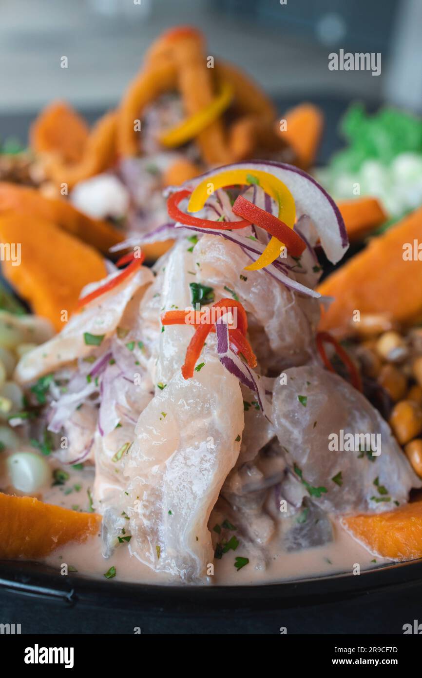 Close up of a traditional dish of Peruvian cuisine. Undo with marinated ...