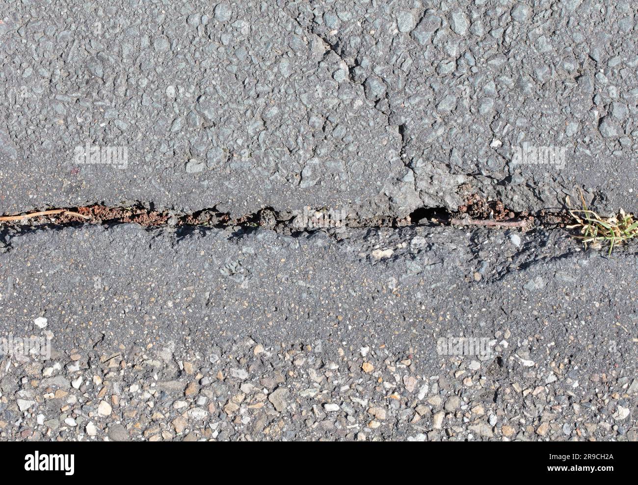 Weeds break through asphalt, top view, isolated Stock Photo - Alamy