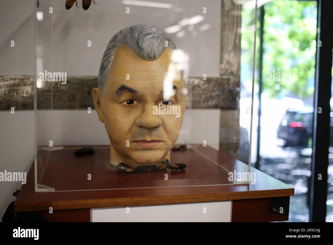 Artificial head of Sergei Shoigu (a Soviet and Russian statesman ...