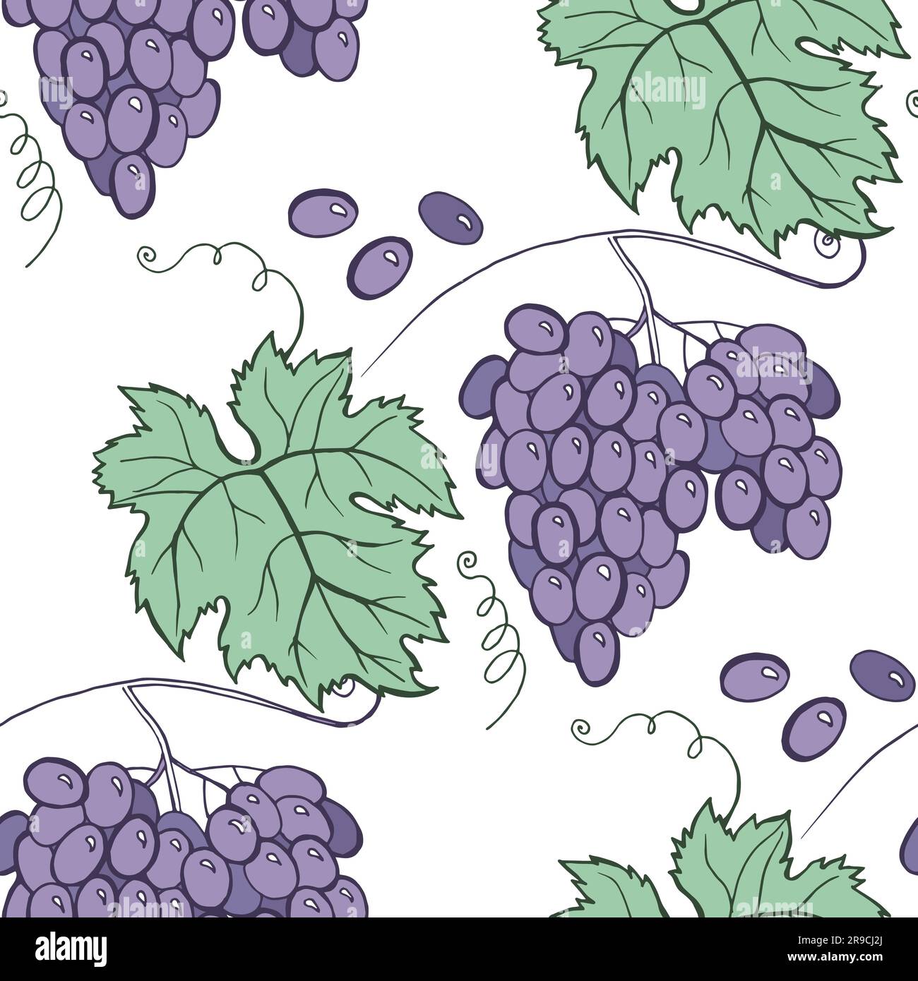 Grape Vine Cartoon