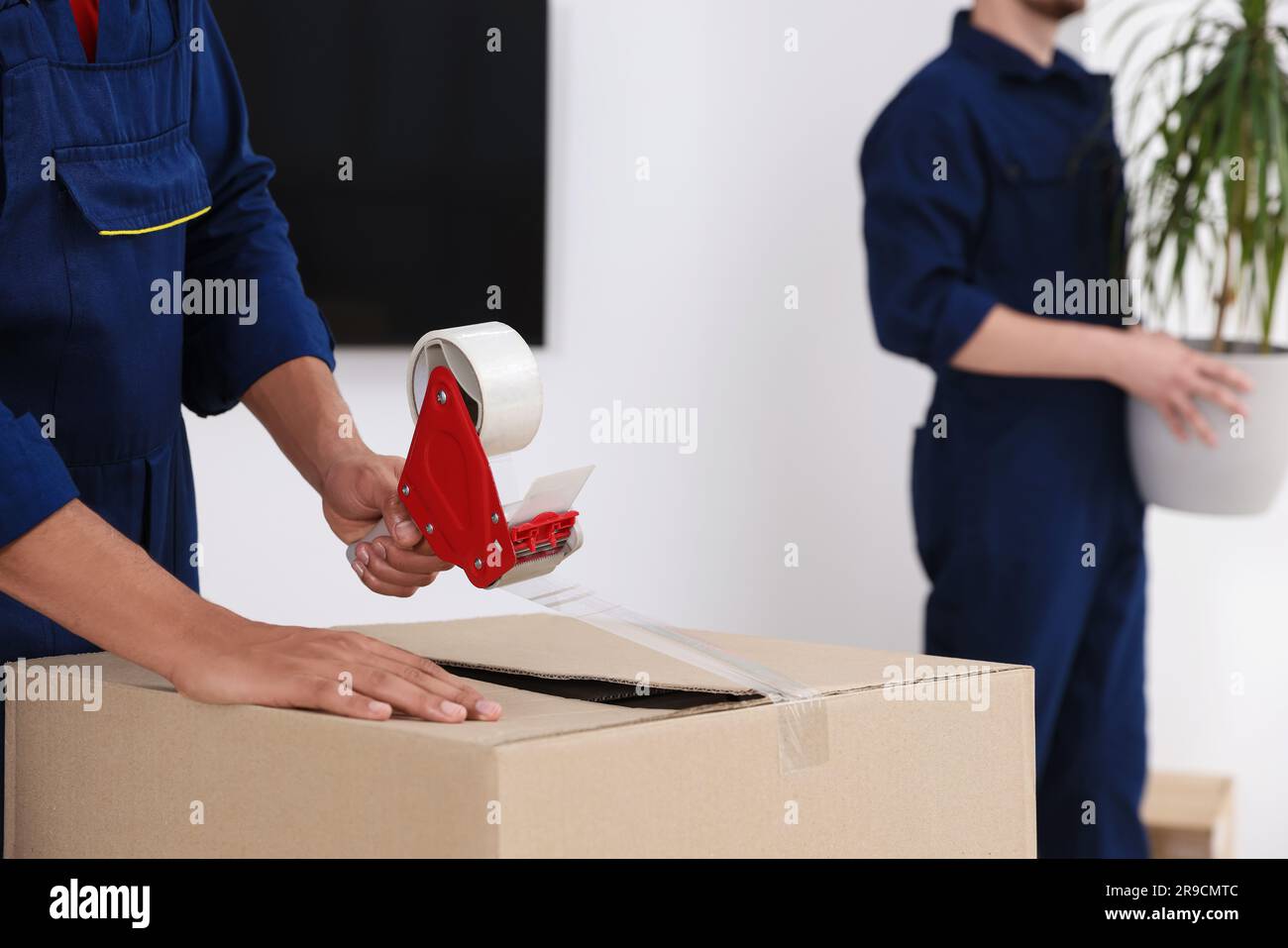 Male mover packing box with adhesive tape in house, closeup Stock Photo ...