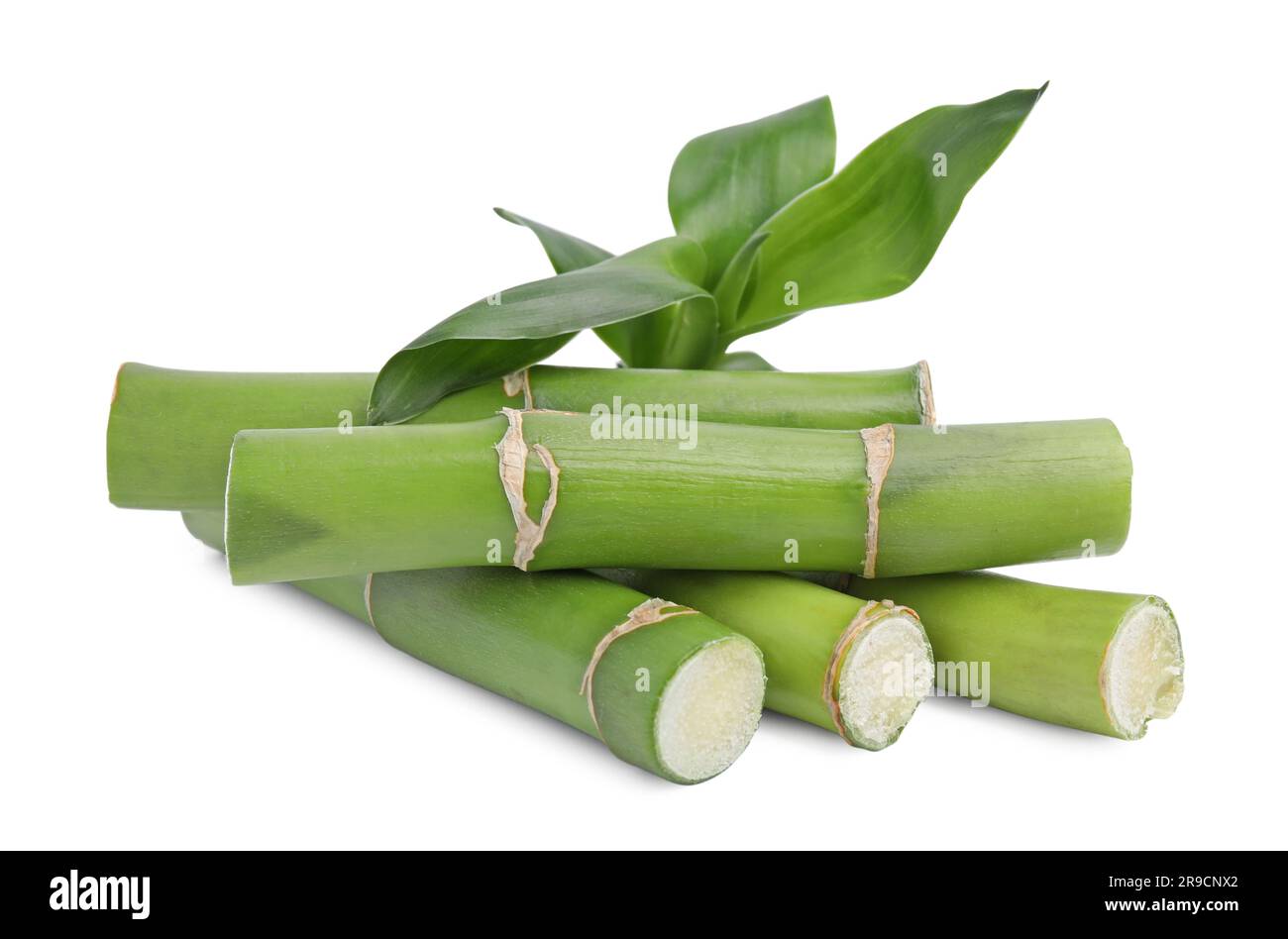 Pieces of beautiful green bamboo stems on white background Stock Photo ...