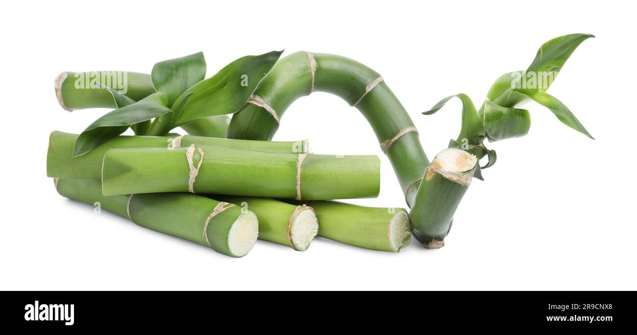 Pieces of beautiful green bamboo stems on white background Stock Photo ...