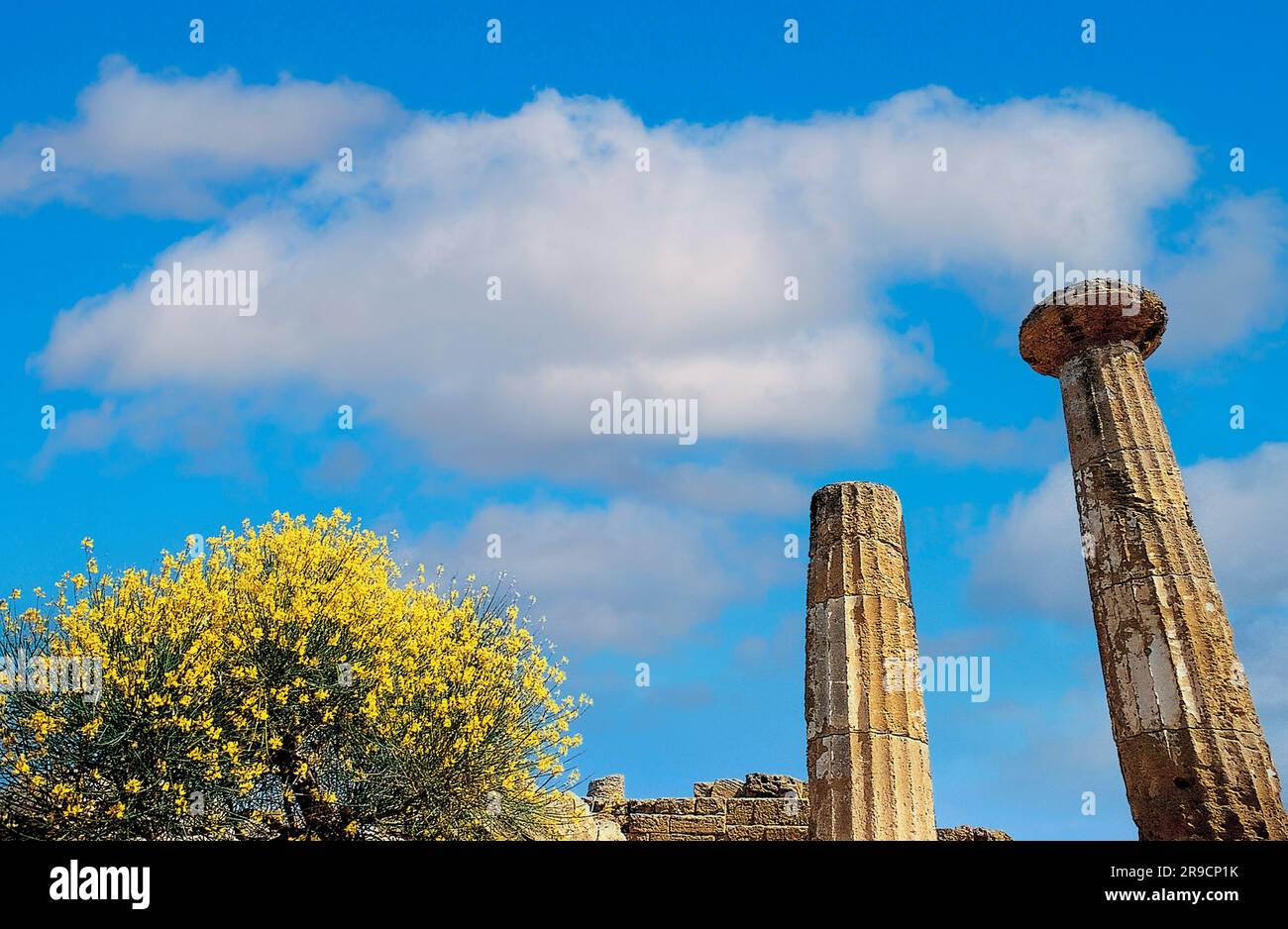 Italy Sicily Agrigento Valle dei Templi - column of Hercules Temple ...