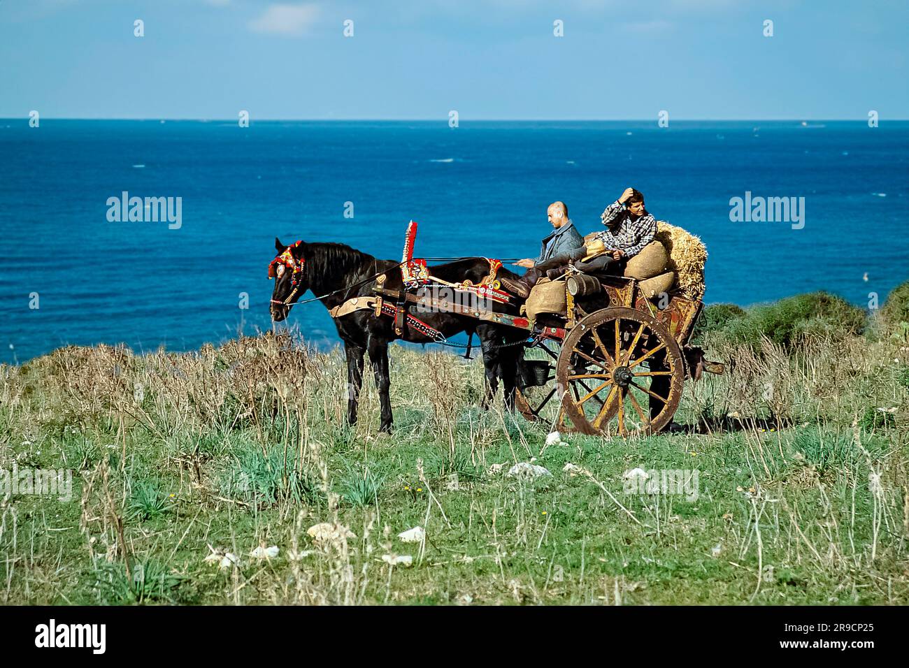 Italy Sicily Sicilian cart and sea Stock Photo - Alamy