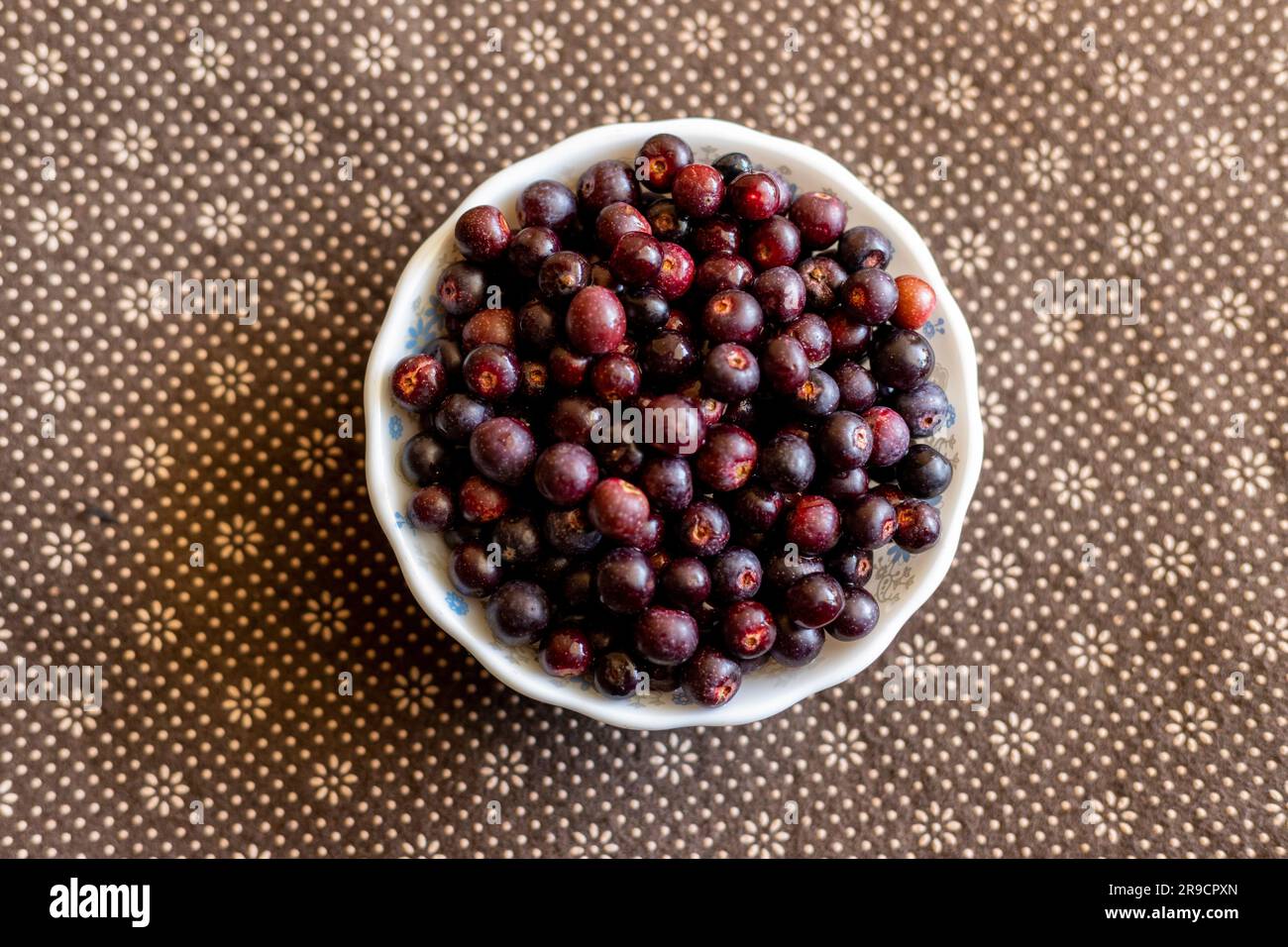 Gurguray fruit berries are grown naturally in dry hilly areas in ...