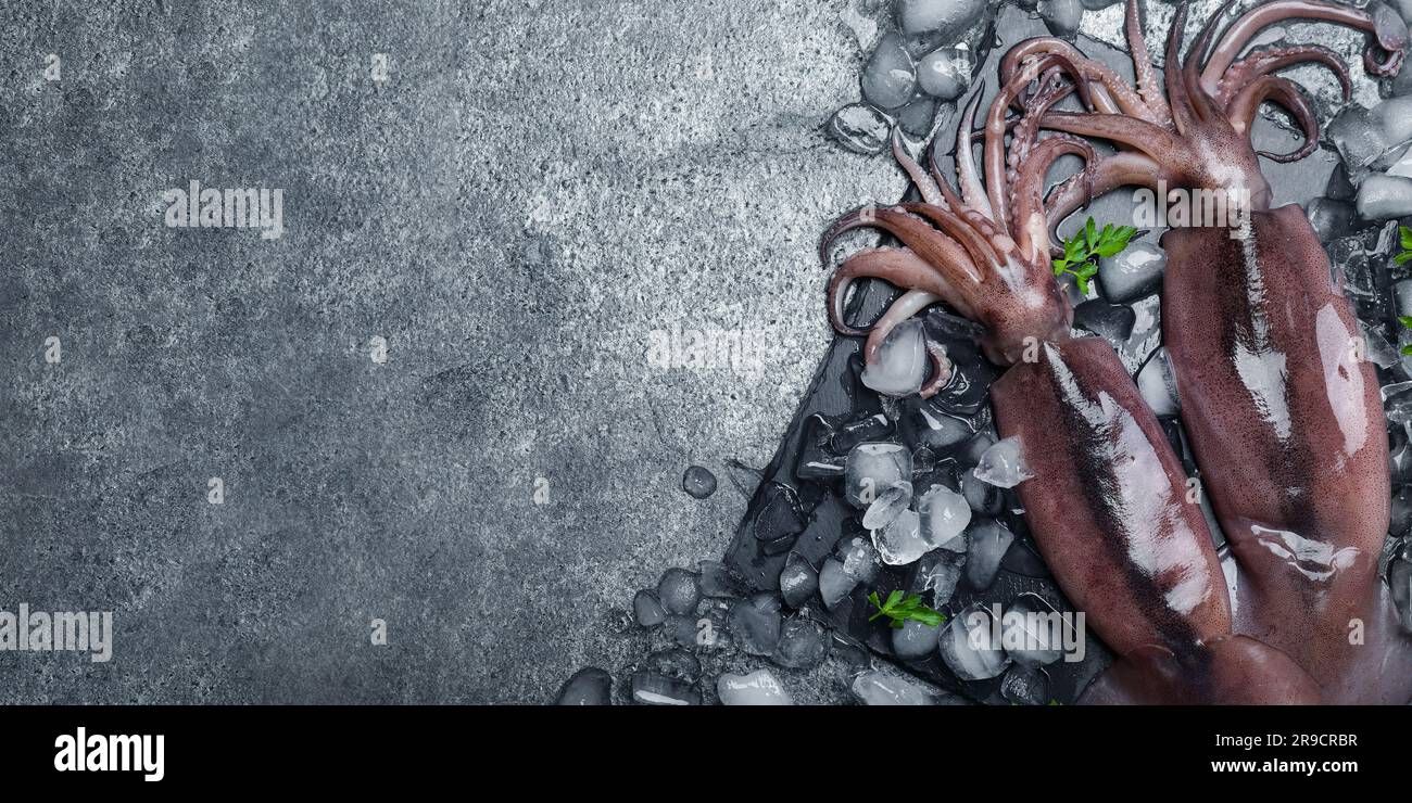 Fresh squids, parsley and ice cubes on grey table, flat lay. Banner ...