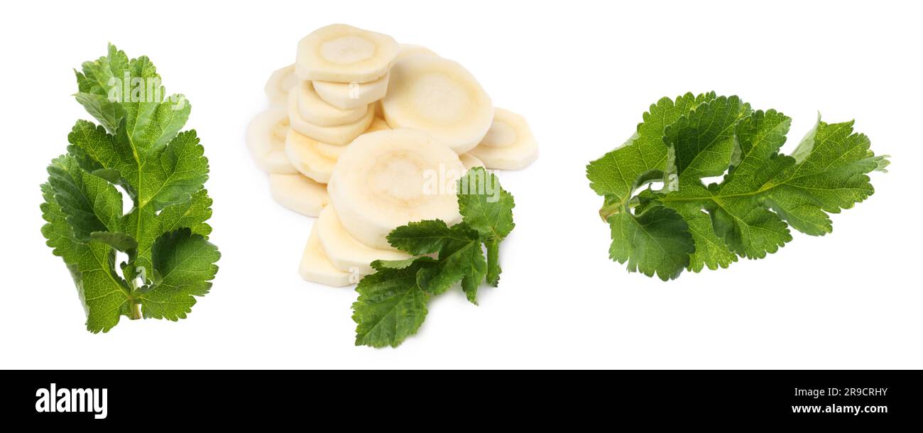Set with cut parsnip and leaves on white background Stock Photo - Alamy