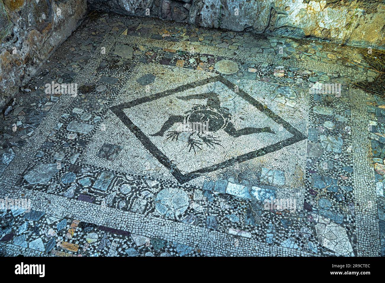 Mosaics of the baths, depicting the triskelion symbol of Sicily, from ...