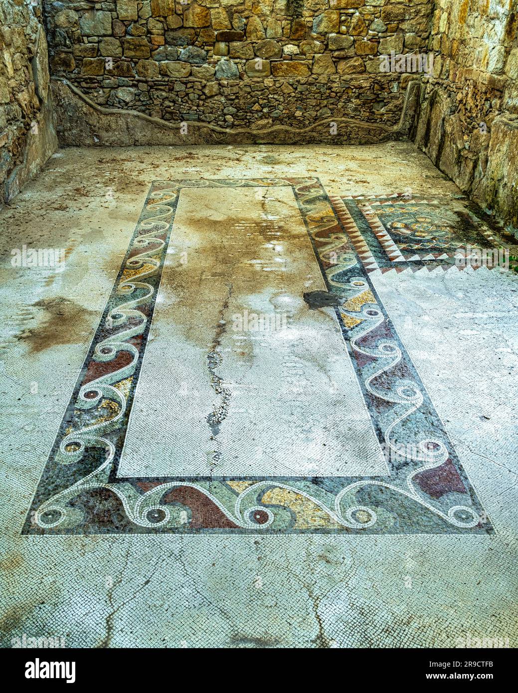 Mosaics of the thermal baths, Calidarium, from the Roman era in the ...
