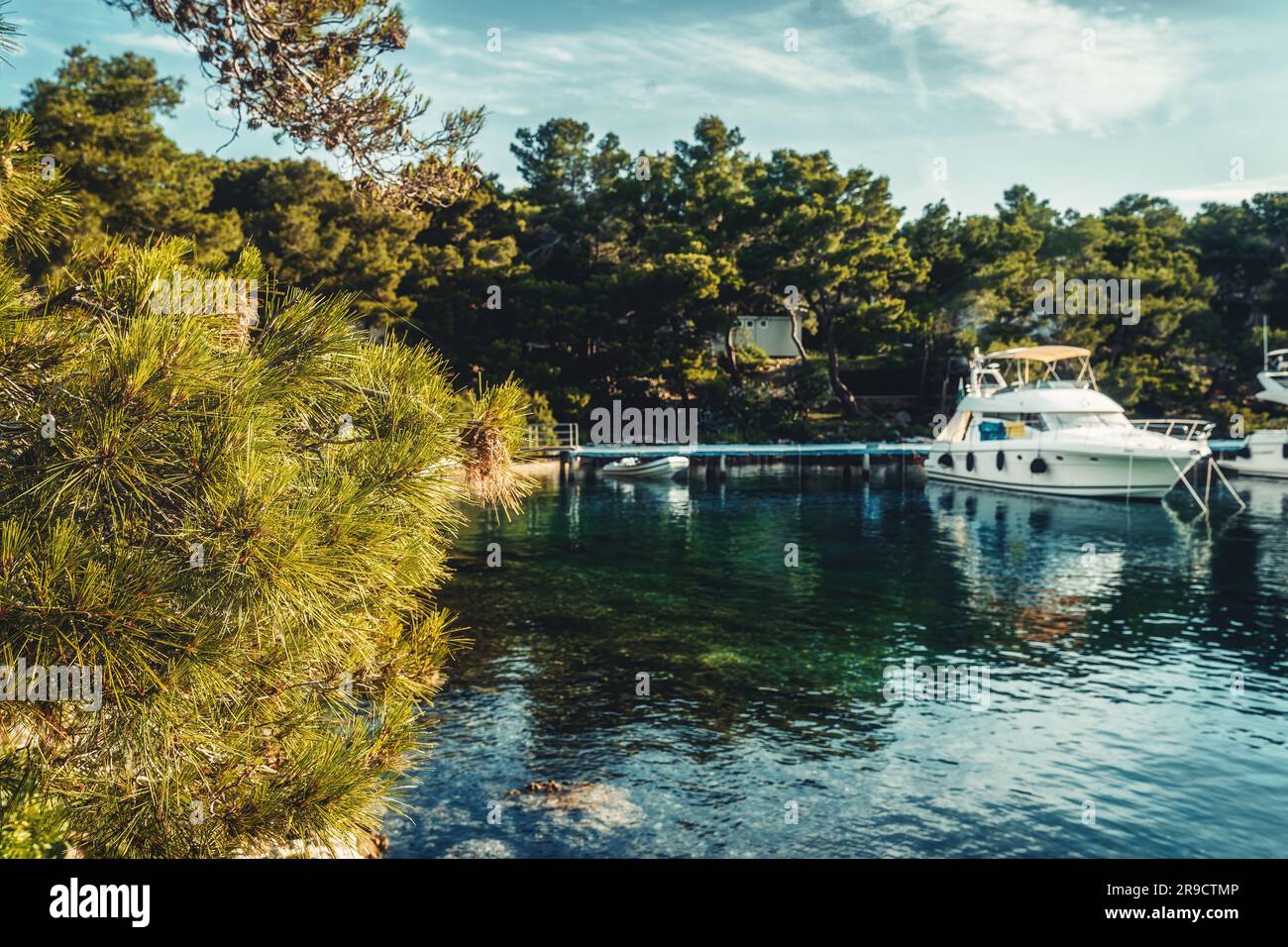 yachts moored in a beautiful natural harbor full of greenery Stock ...
