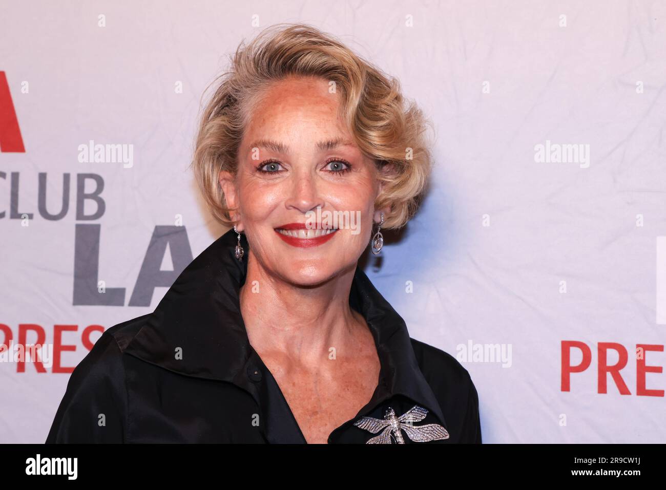 Los Angeles, California, USA. 25th June, 2023. Actress Sharon Stone ...