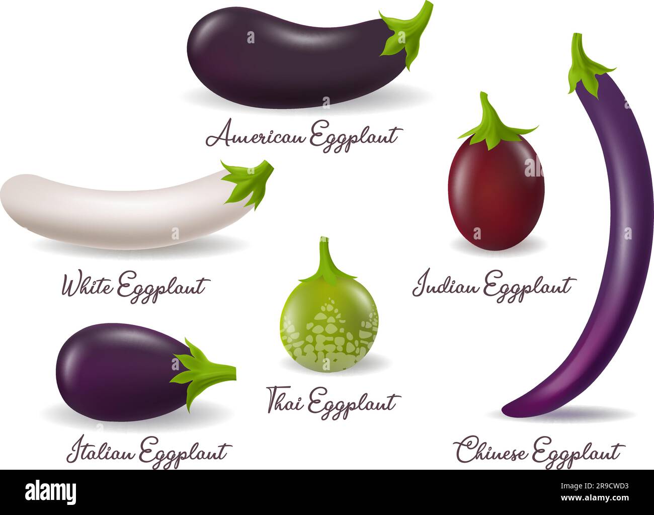 Eggplants varieties photo realistic Stock Vector Image & Art - Alamy