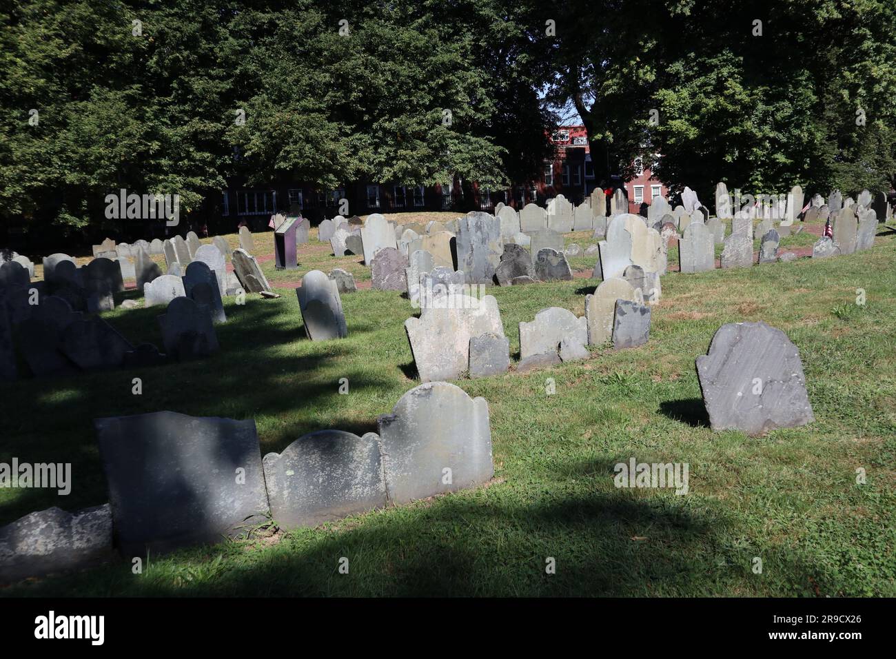 Self burying hi-res stock photography and images - Alamy