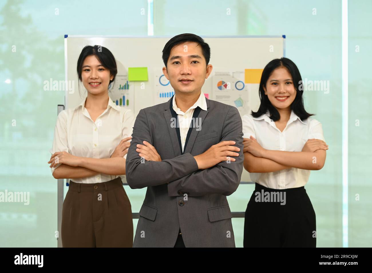 Confident business people or professional standing with arms crosse and ...