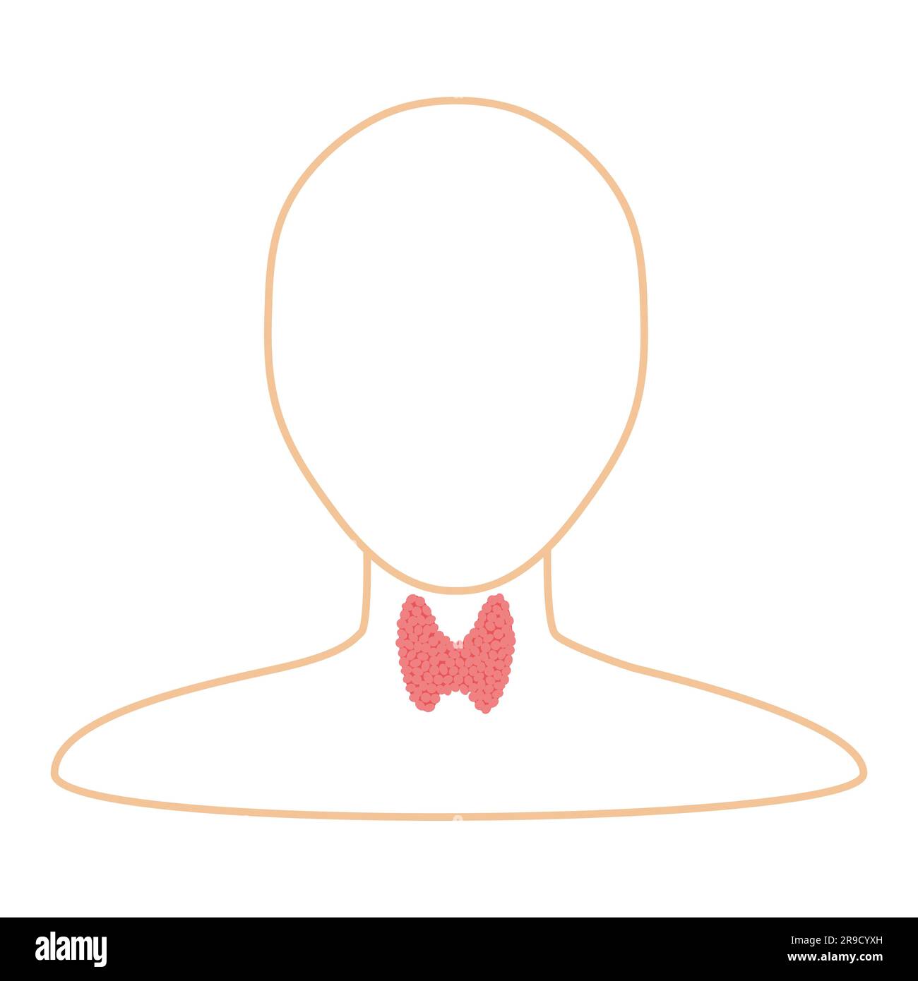 Thyroid gland organ on body silhouette icon Stock Vector Image & Art ...