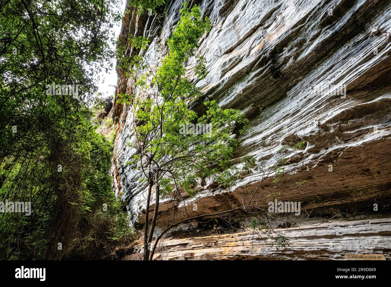 Limestone cave of stalactite and stalagmite formations, the Gruta da ...