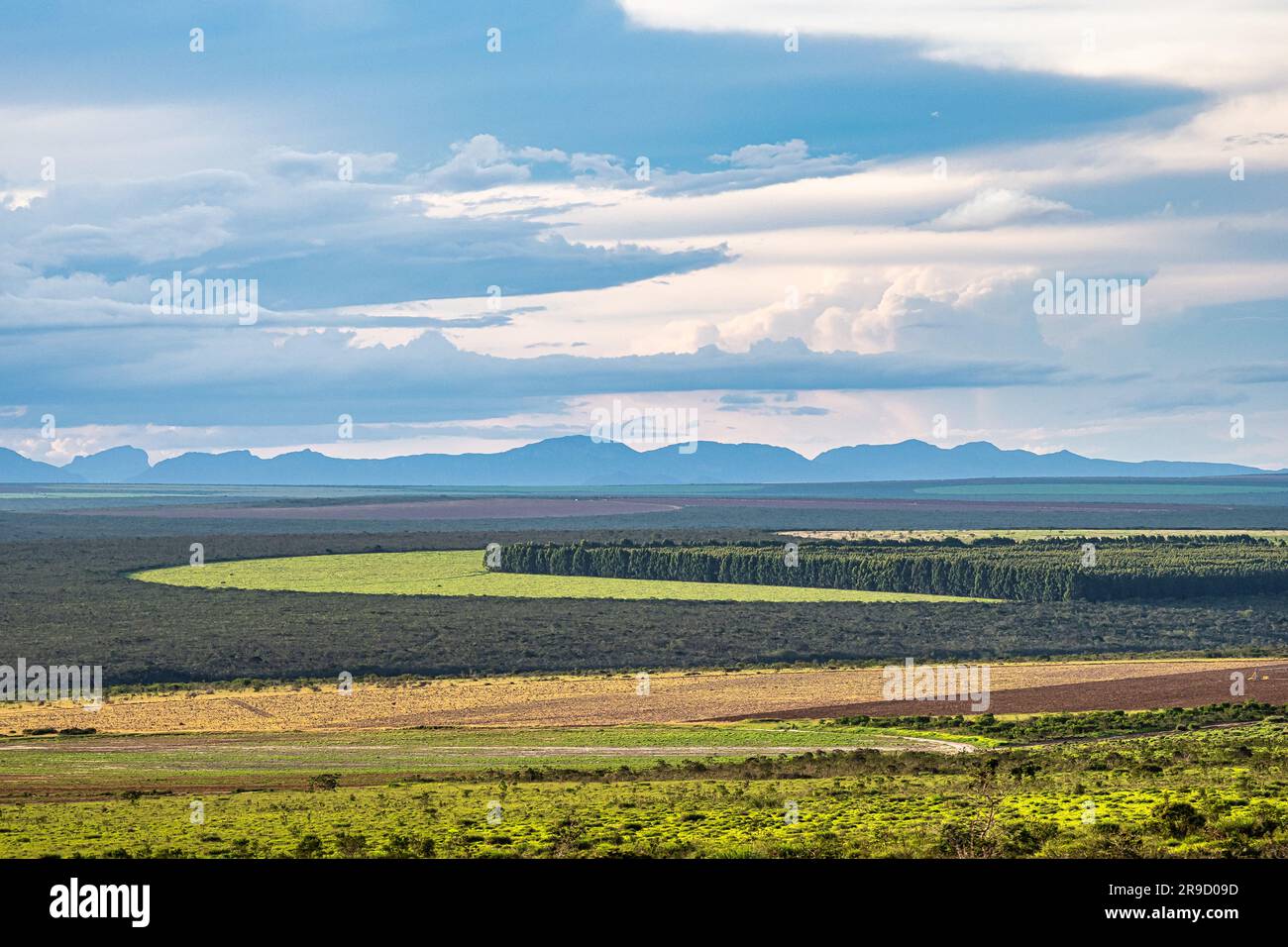 Round agricultural fields cultivated on a farm between Ibicoara and ...