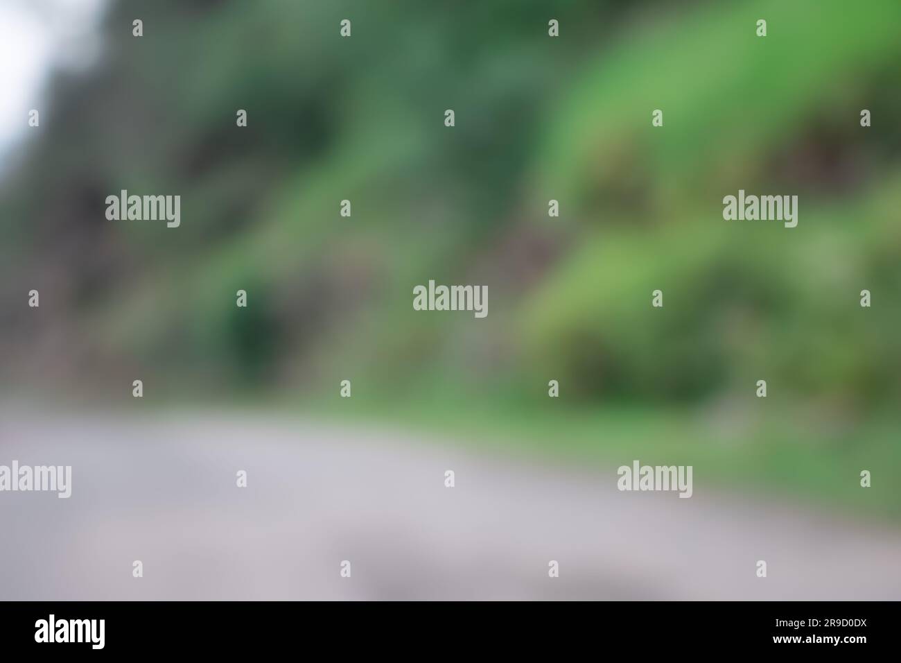 Beautiful blurred background image of spring nature having in Himalayas ...