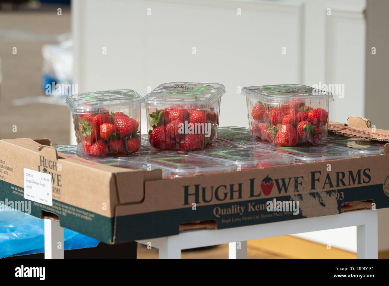 Ascot, Berkshire, UK. 23rd June, 2023. Strawberries at the ready at ...