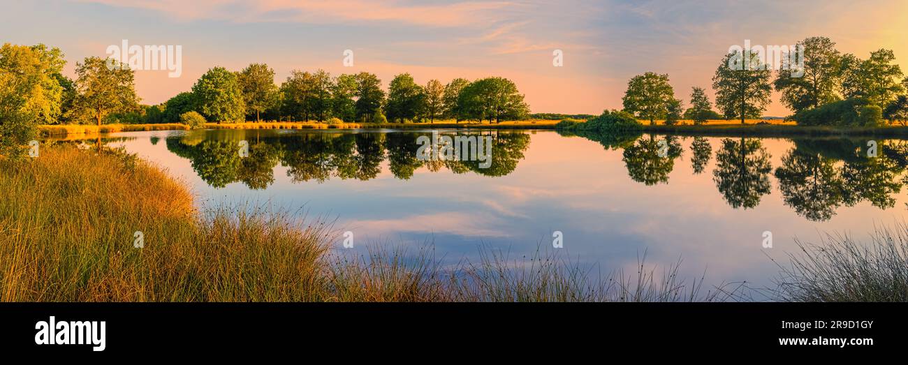 A wide 3:1 panoramic image from a sunset at Dwingelderveld National ...