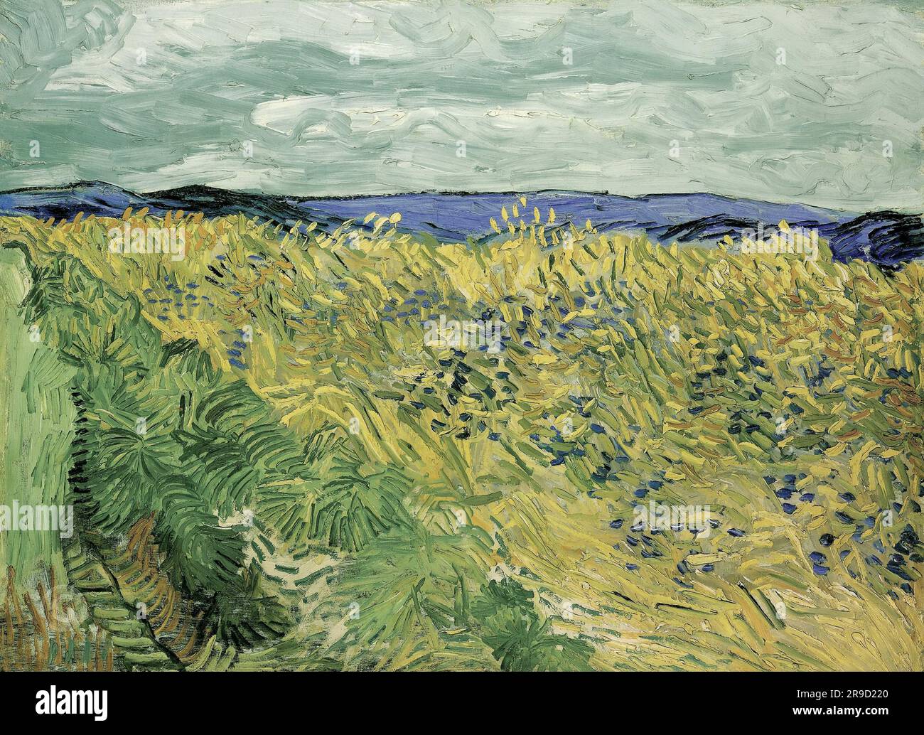 Van gogh wheat field hi-res stock photography and images - Alamy