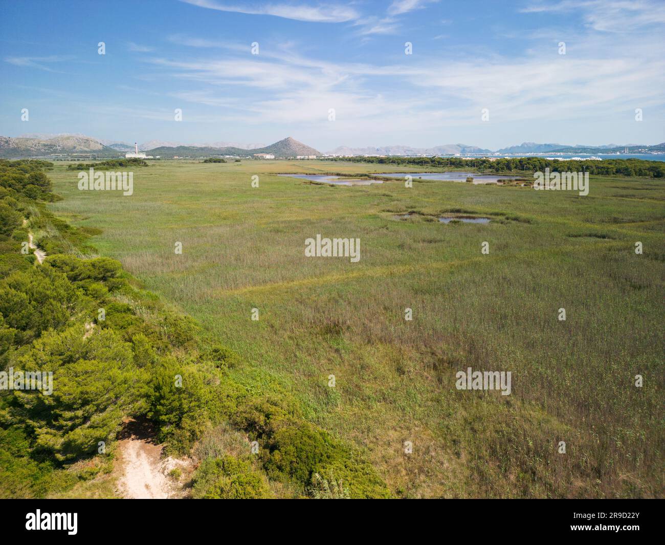 view of nature reserve at Ses Salinetes, S'Albufera, Mallorca, Spain ...