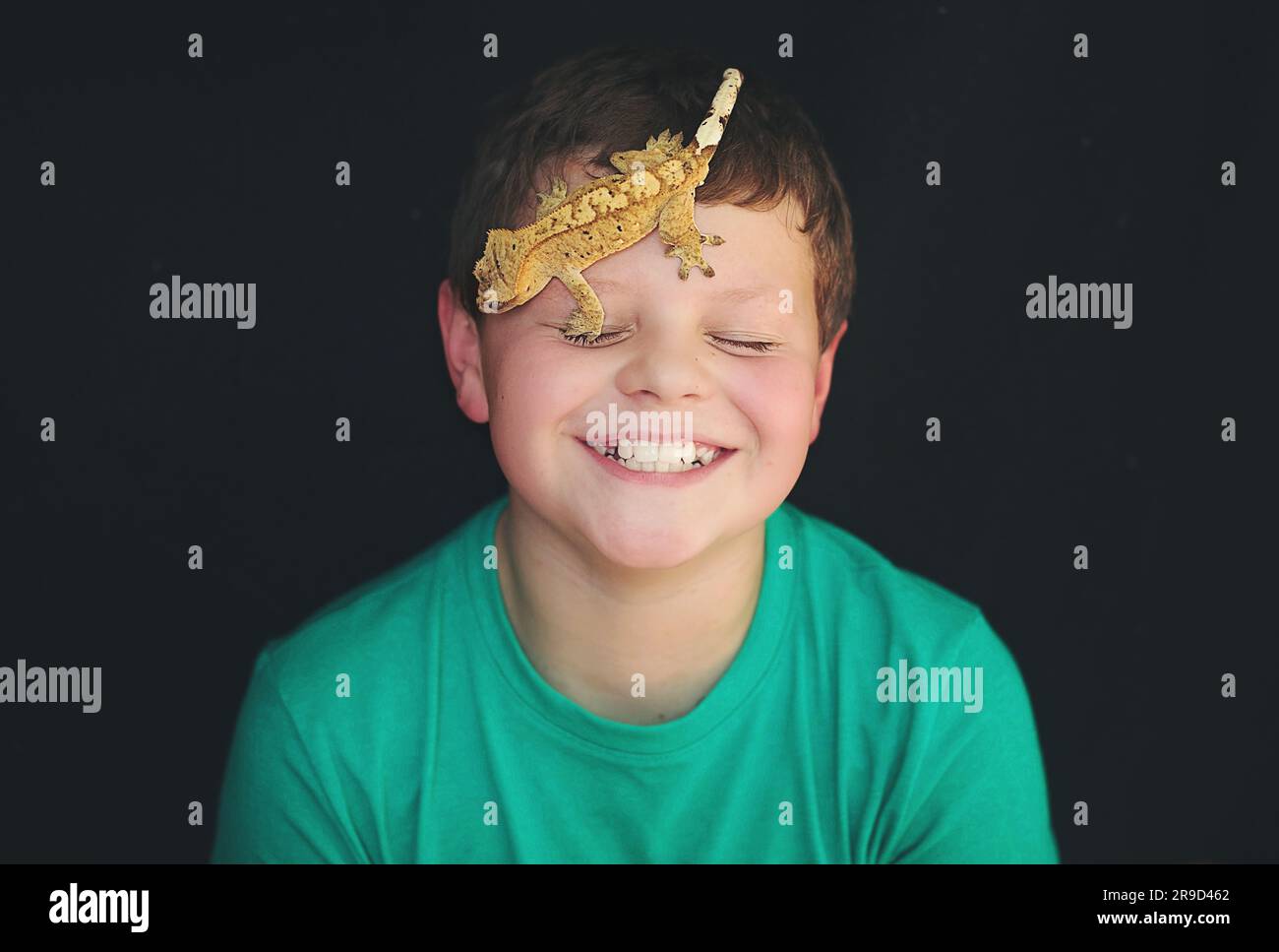 boy with crested gecko on his head and a big smile Stock Photo - Alamy