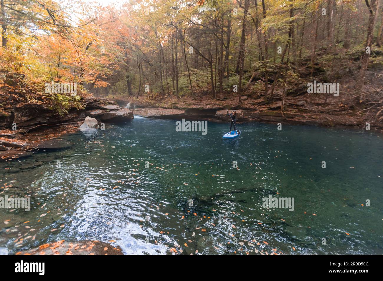 Woman paddle boarding in a fall scene on a clear river Stock Photo - Alamy