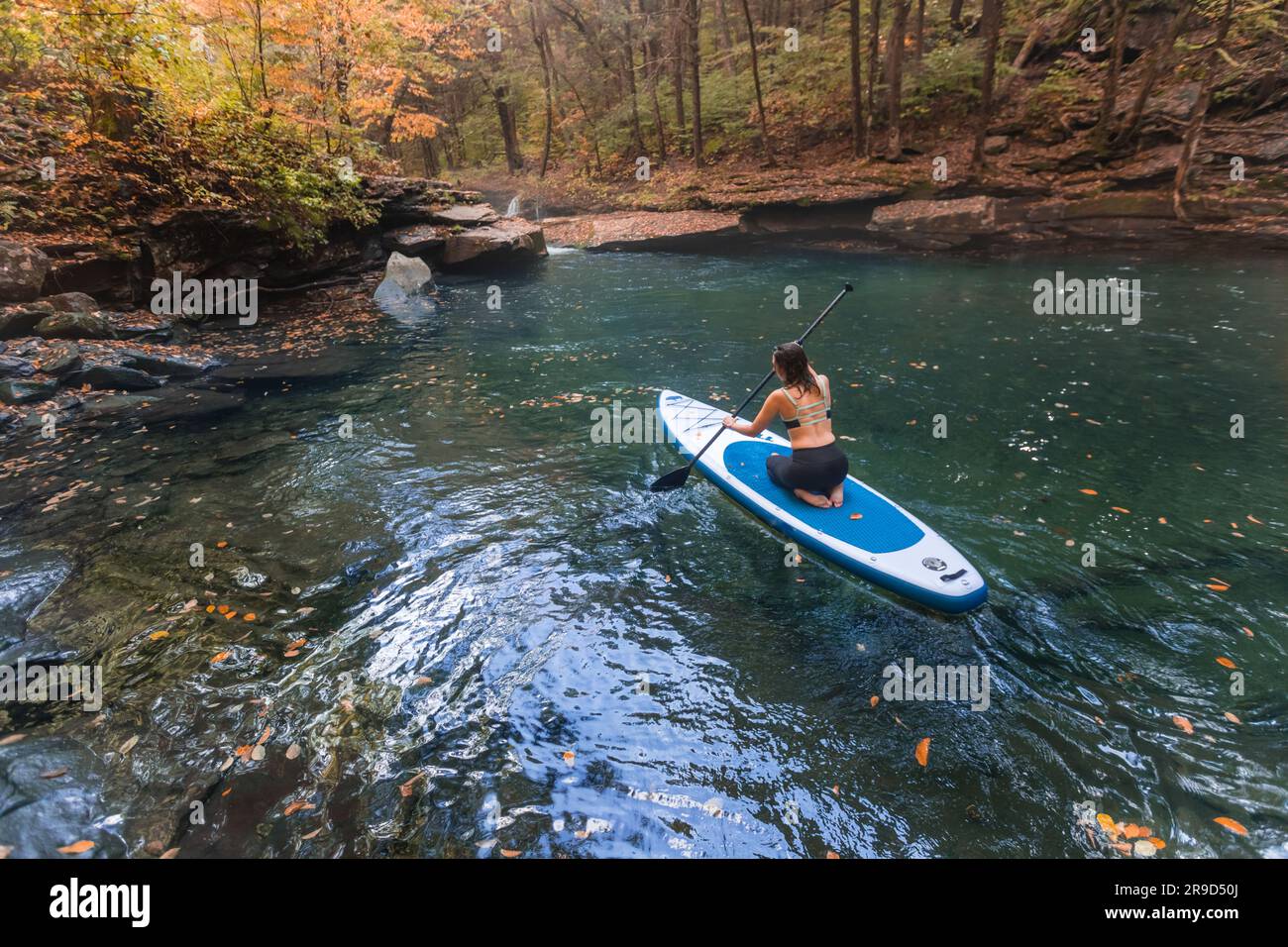 Woman paddle boarding in a fall scene on a clear river Stock Photo - Alamy