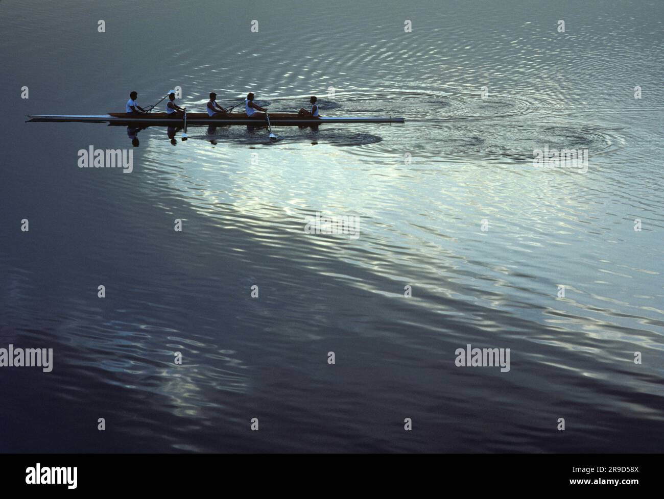 Sculling austin hi-res stock photography and images - Alamy