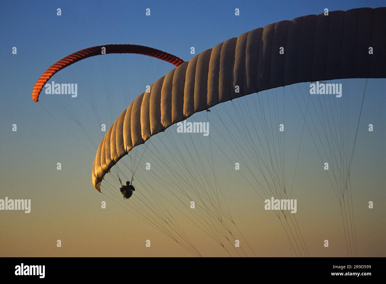 Purasuit hi-res stock photography and images - Alamy