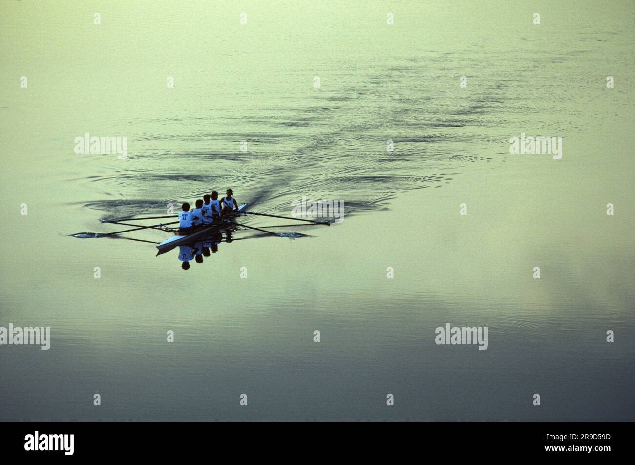 Sculling austin hi-res stock photography and images - Alamy
