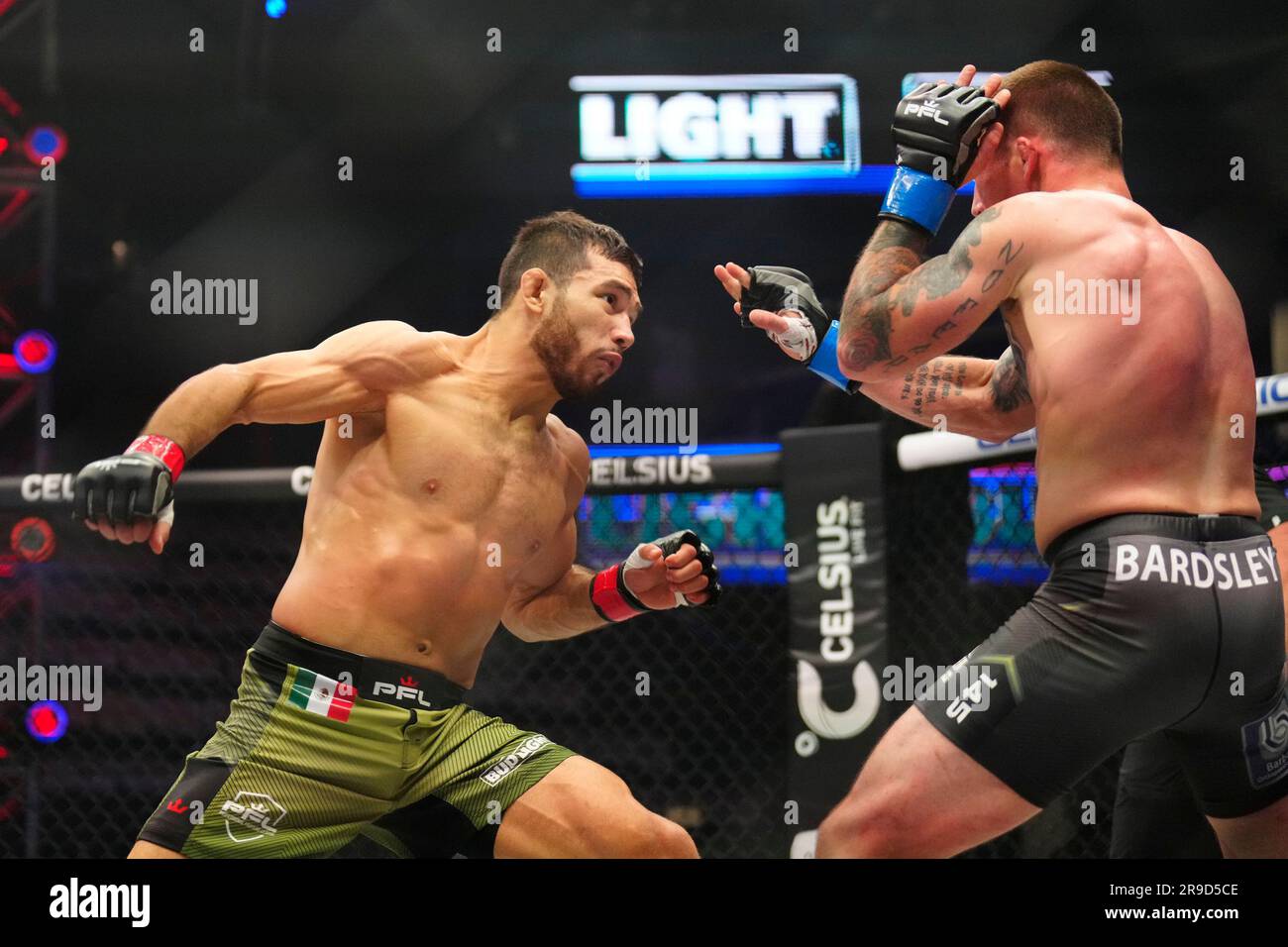Brahyan zurcher hi-res stock photography and images - Alamy