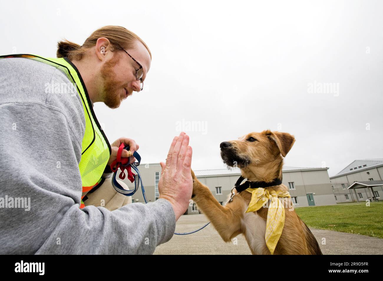 Inmate and dog-training program Stock Photo - Alamy
