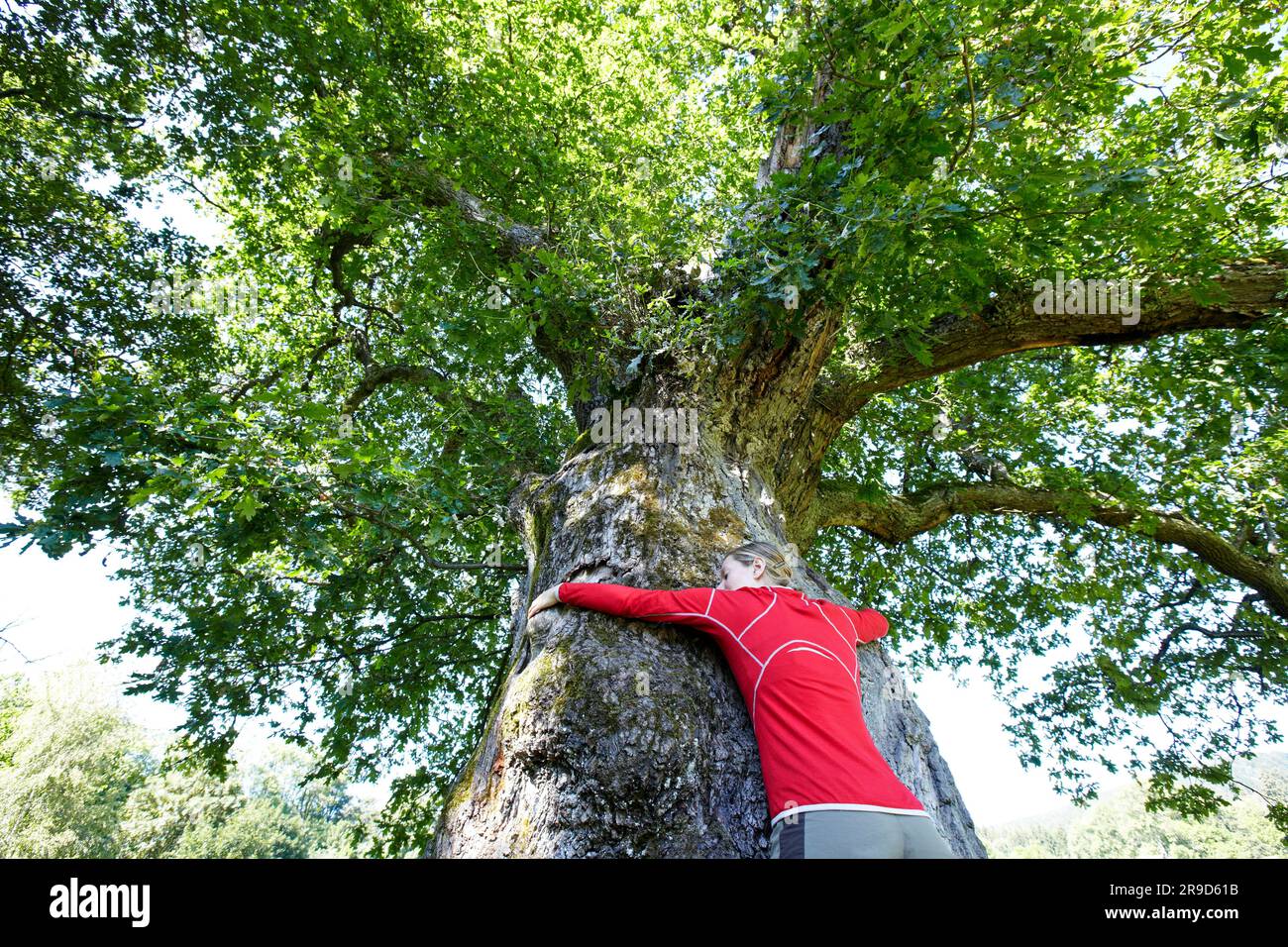 Katrin Schneider hugging an old oak tree in a mountain region called ...