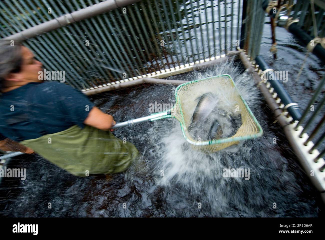 Weir island hi-res stock photography and images - Alamy