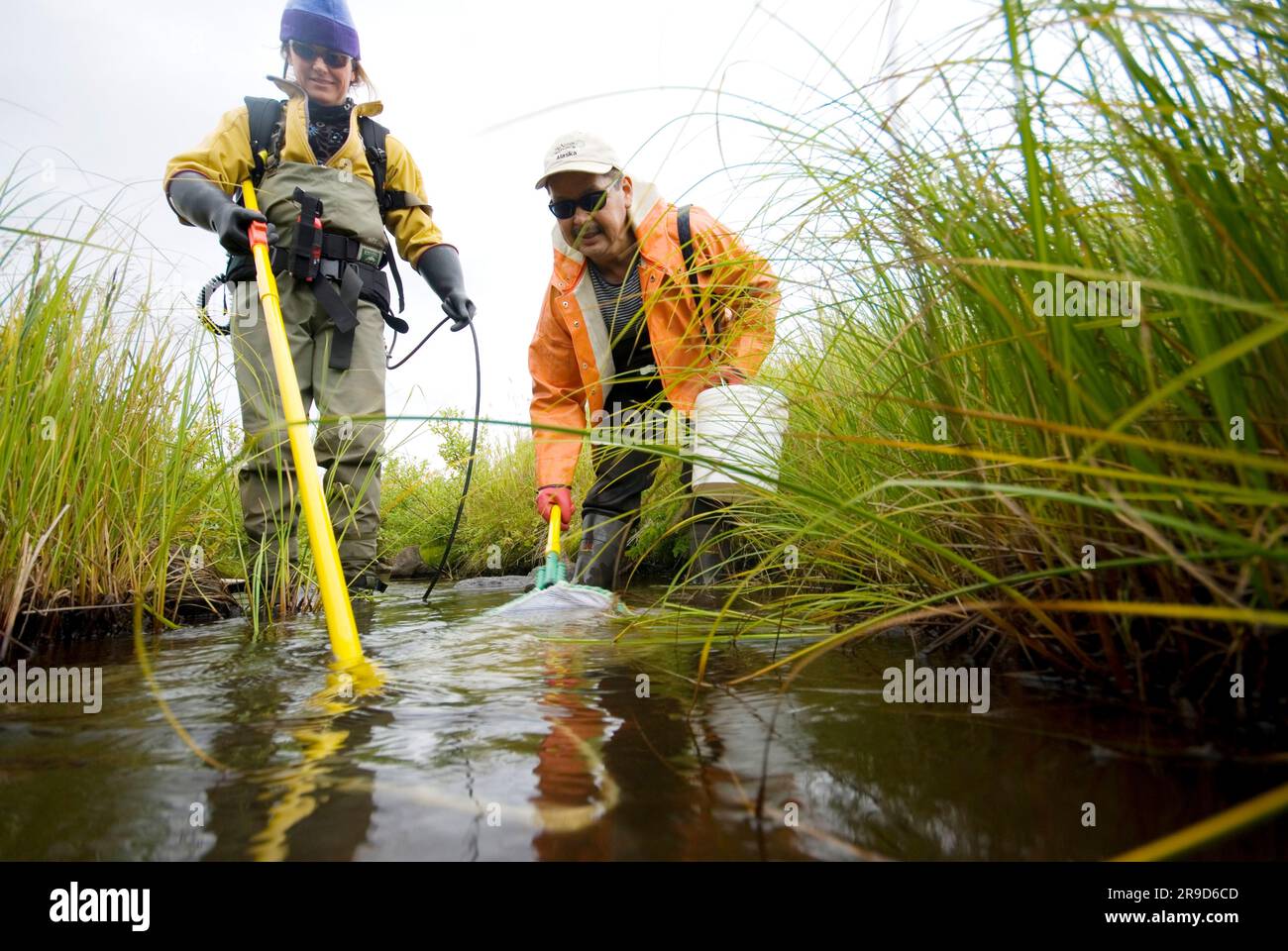 Electroshocking hi-res stock photography and images - Alamy