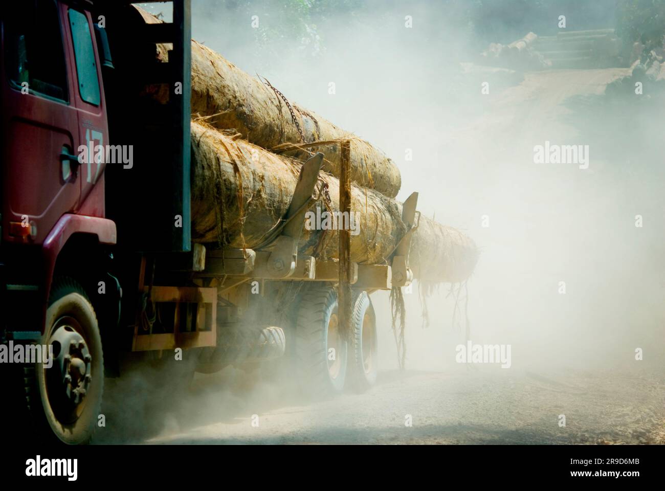Logging practices hi-res stock photography and images - Alamy